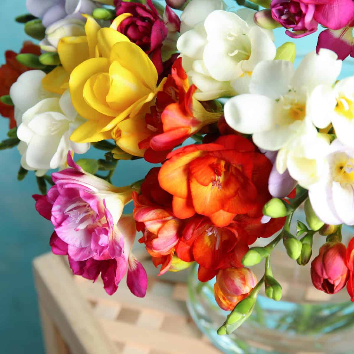 Bright And Cheerful Flowers For Spring - Ron & Alicia Robinson Florist
