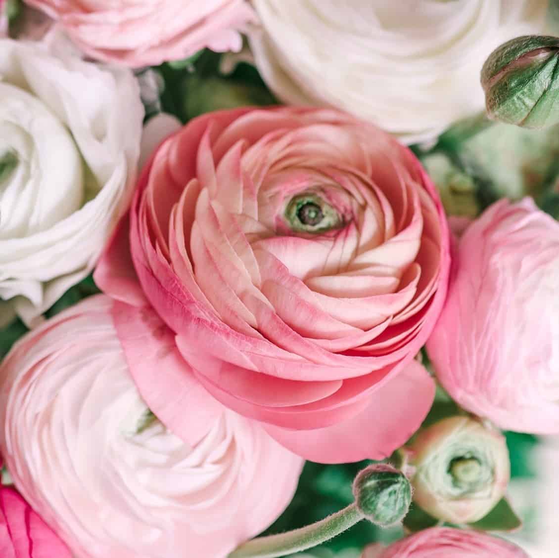 Bright And Cheerful Flowers For Spring - Ron & Alicia Robinson Florist