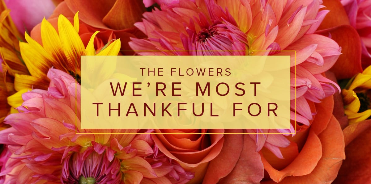 The Top 5 Favorite Flowers Now - Ron & Alicia Robinson Florist