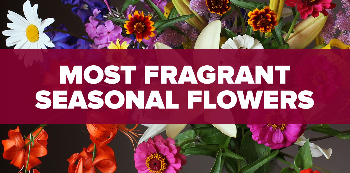 Flowers that Look Good and Smell Good - Ron & Alicia Robinson Florist