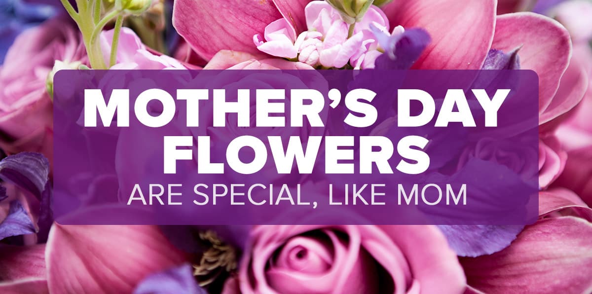These Are the Best Blooms for Mother's Day - Ron & Alicia Robinson Florist